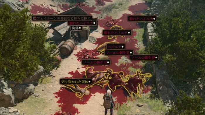 【Baldur’s Gate3】アイテムを常に表示できるMOD『Improved World Tooltips』 | モッチーブログ